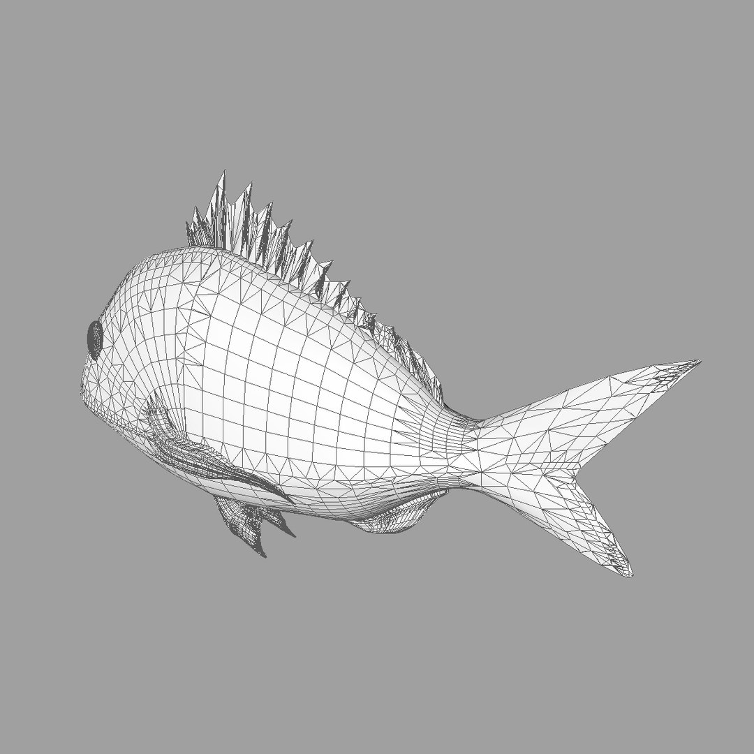 3d model snapper fish