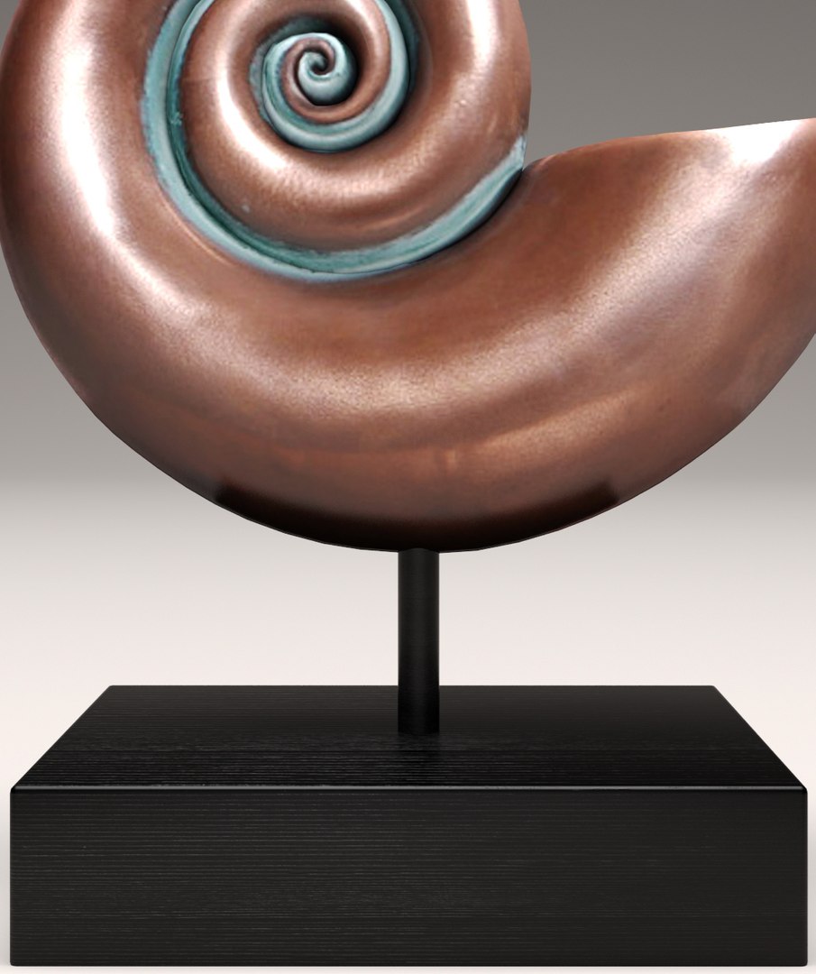 3d Nautical Nautilus Shell