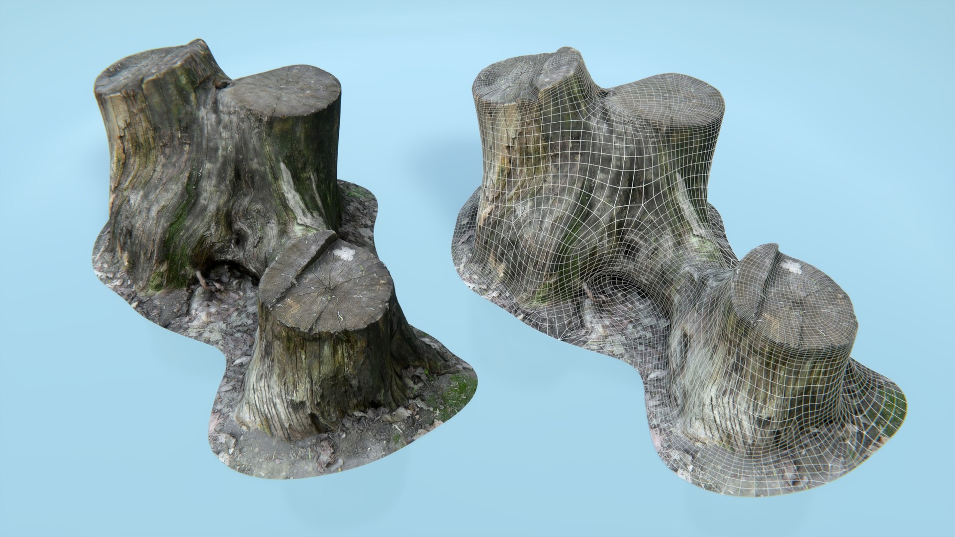 Old Stumps Model - TurboSquid 1480617