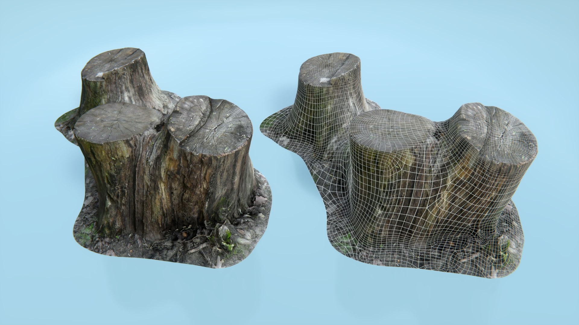 Old Stumps Model - TurboSquid 1480617