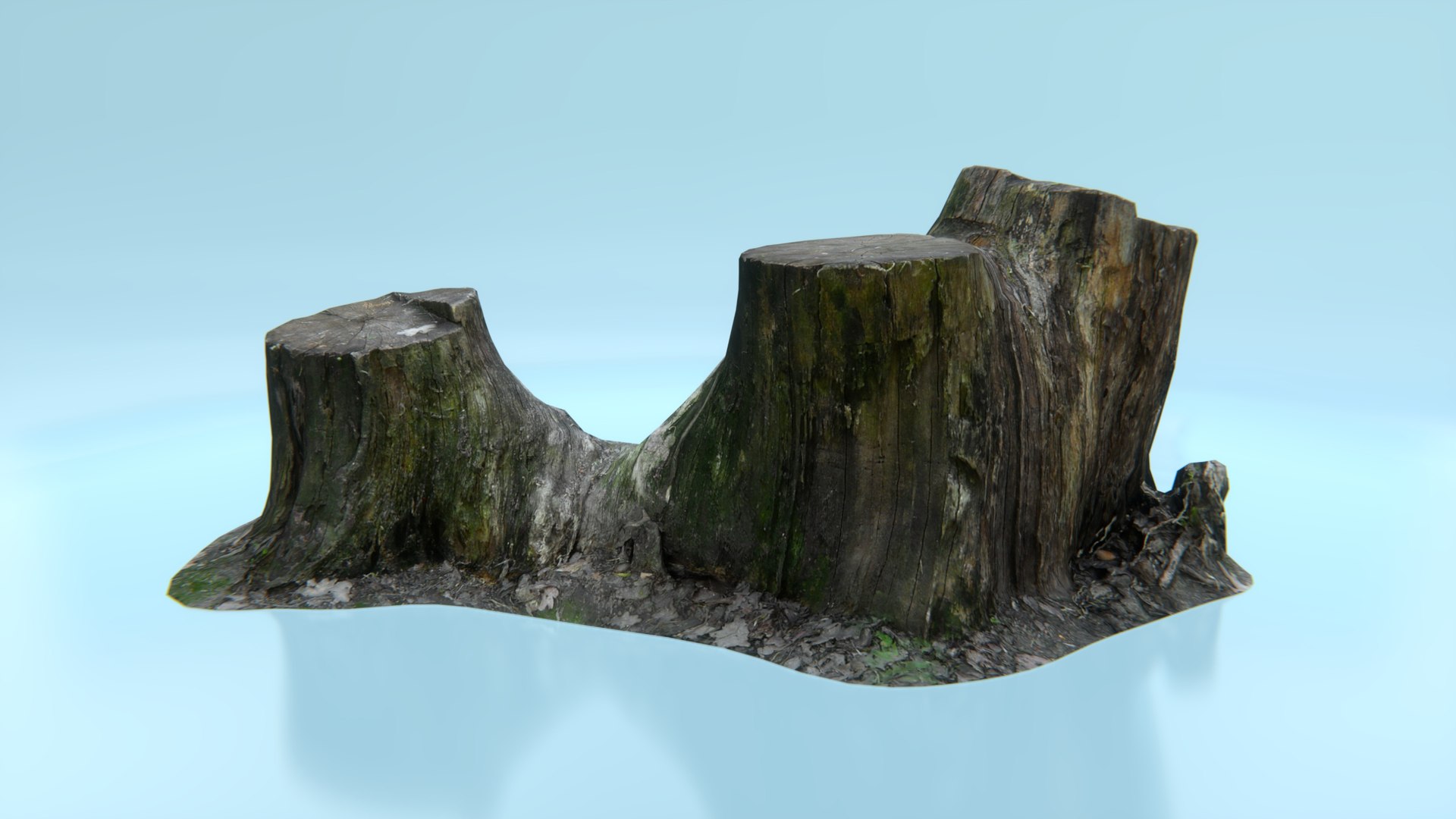 Old Stumps Model - TurboSquid 1480617