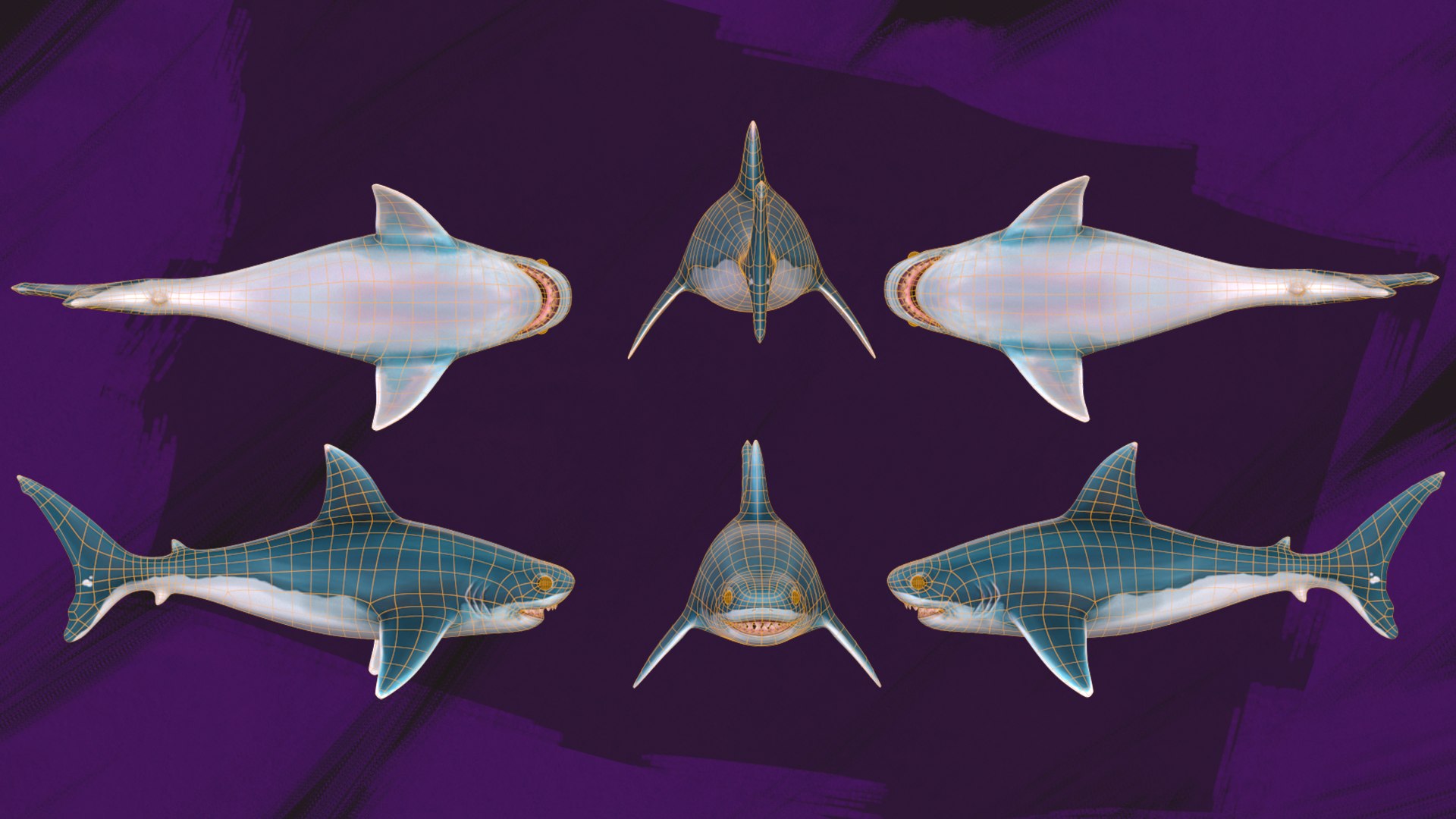 3D Stylized Shark 3D Model - TurboSquid 2033610