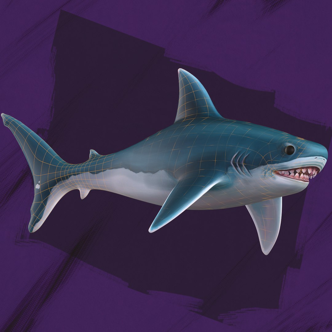 3D Stylized Shark 3D Model - TurboSquid 2033610