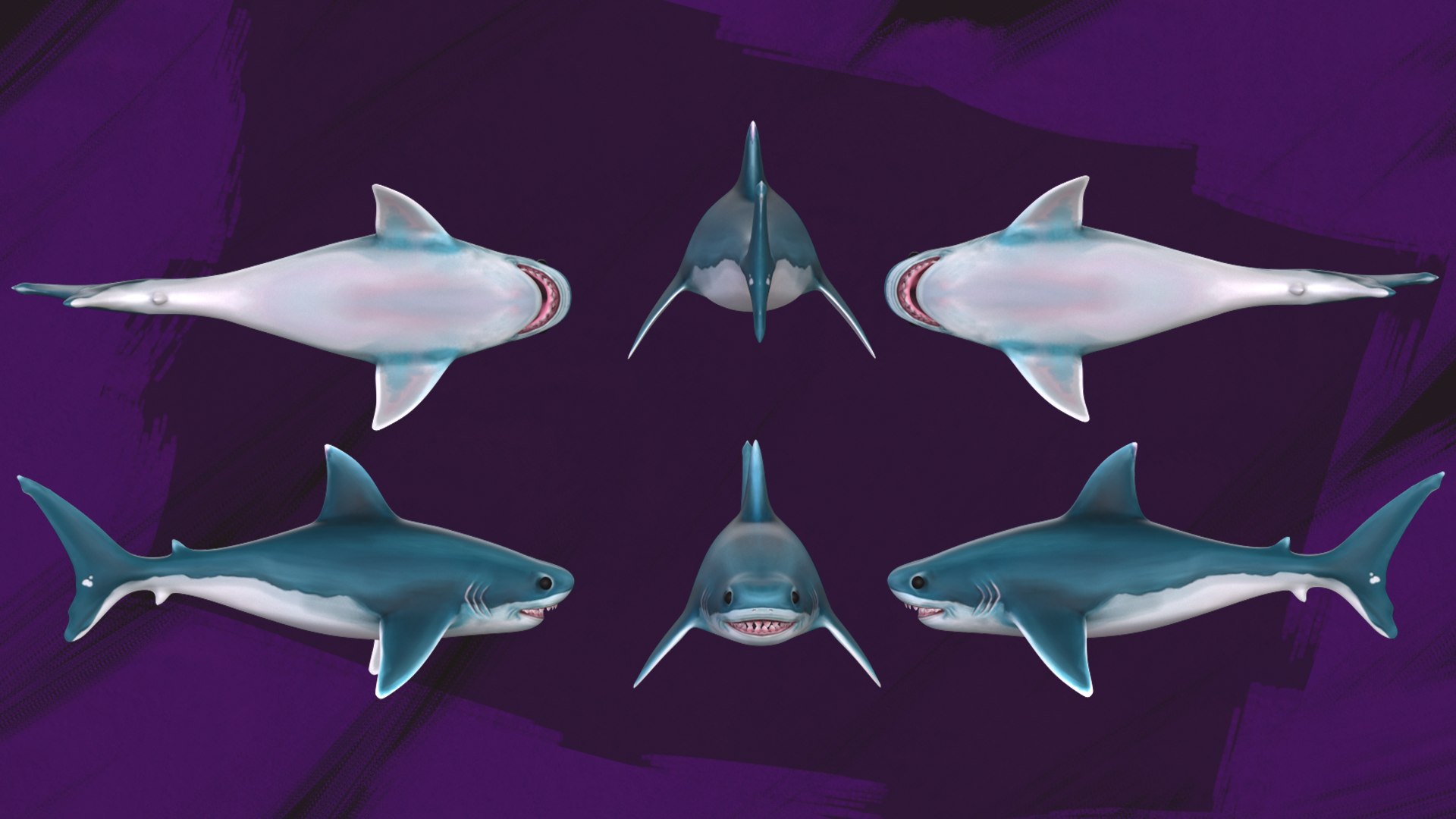 3D Stylized Shark 3D Model - TurboSquid 2033610