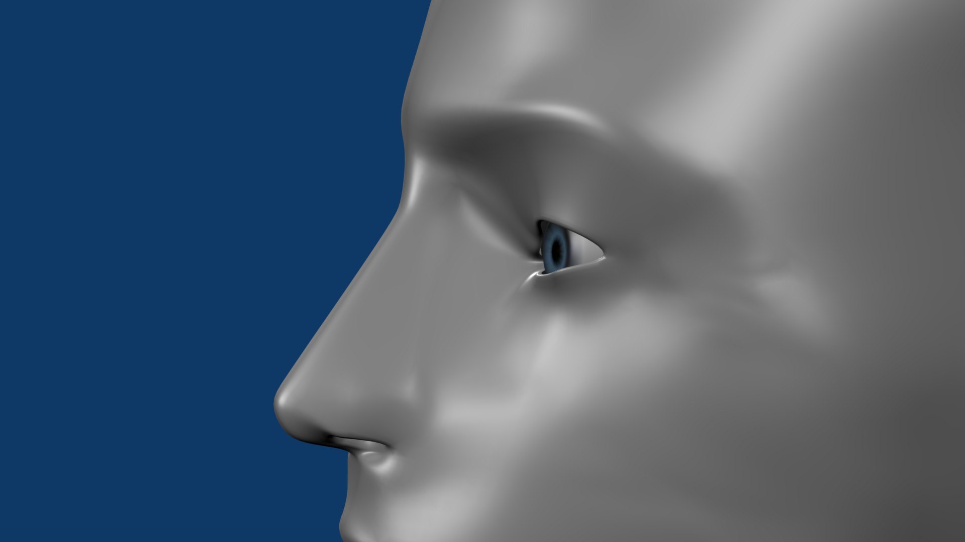 rigging animation modelling 3d obj