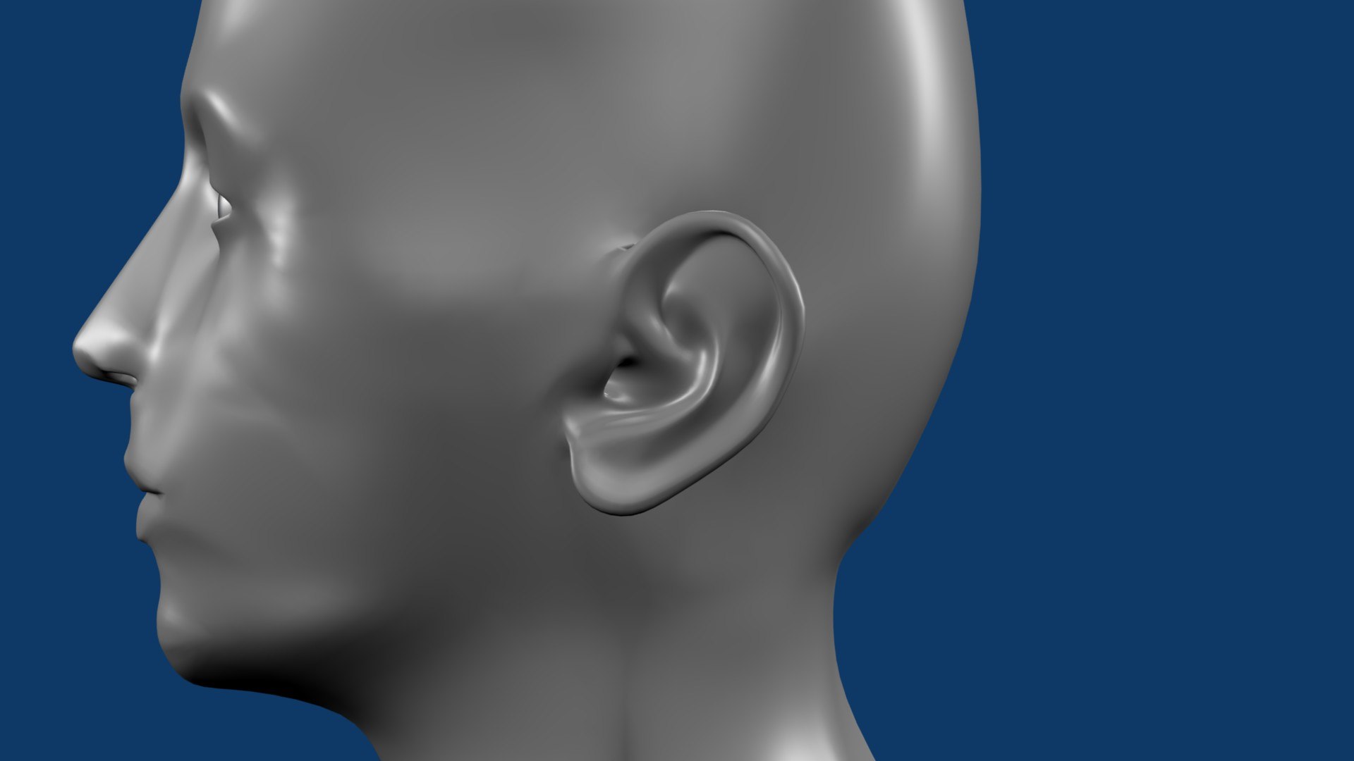 rigging animation modelling 3d obj