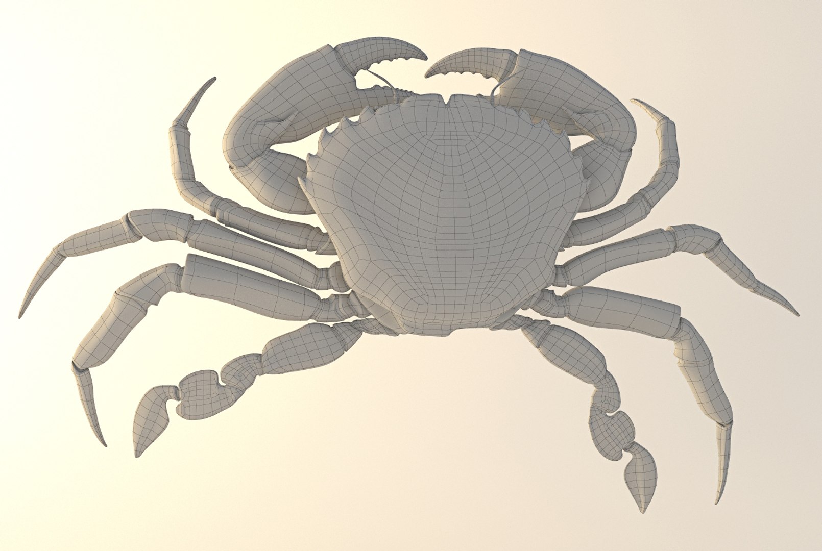 3d Max Crab