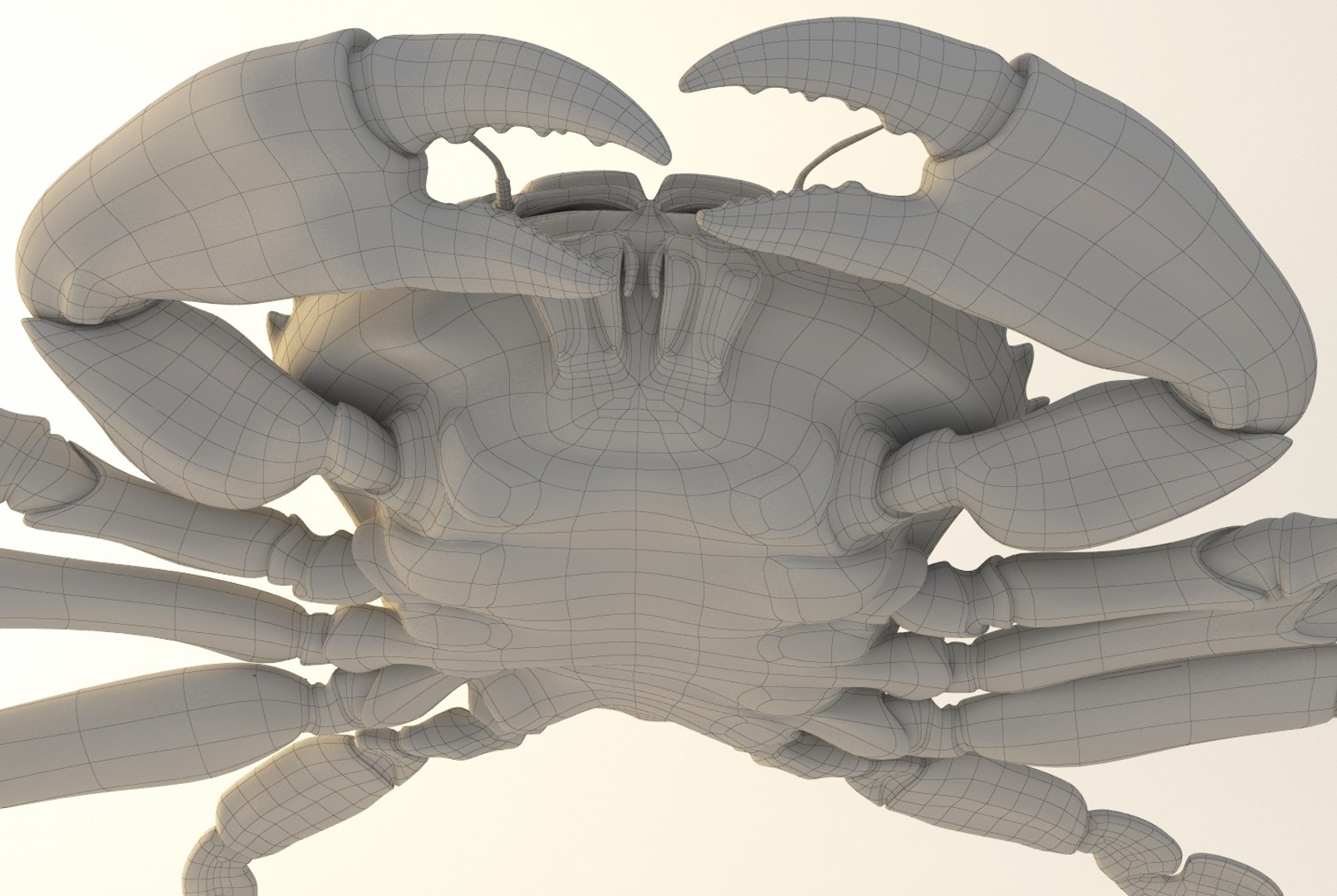3d Max Crab