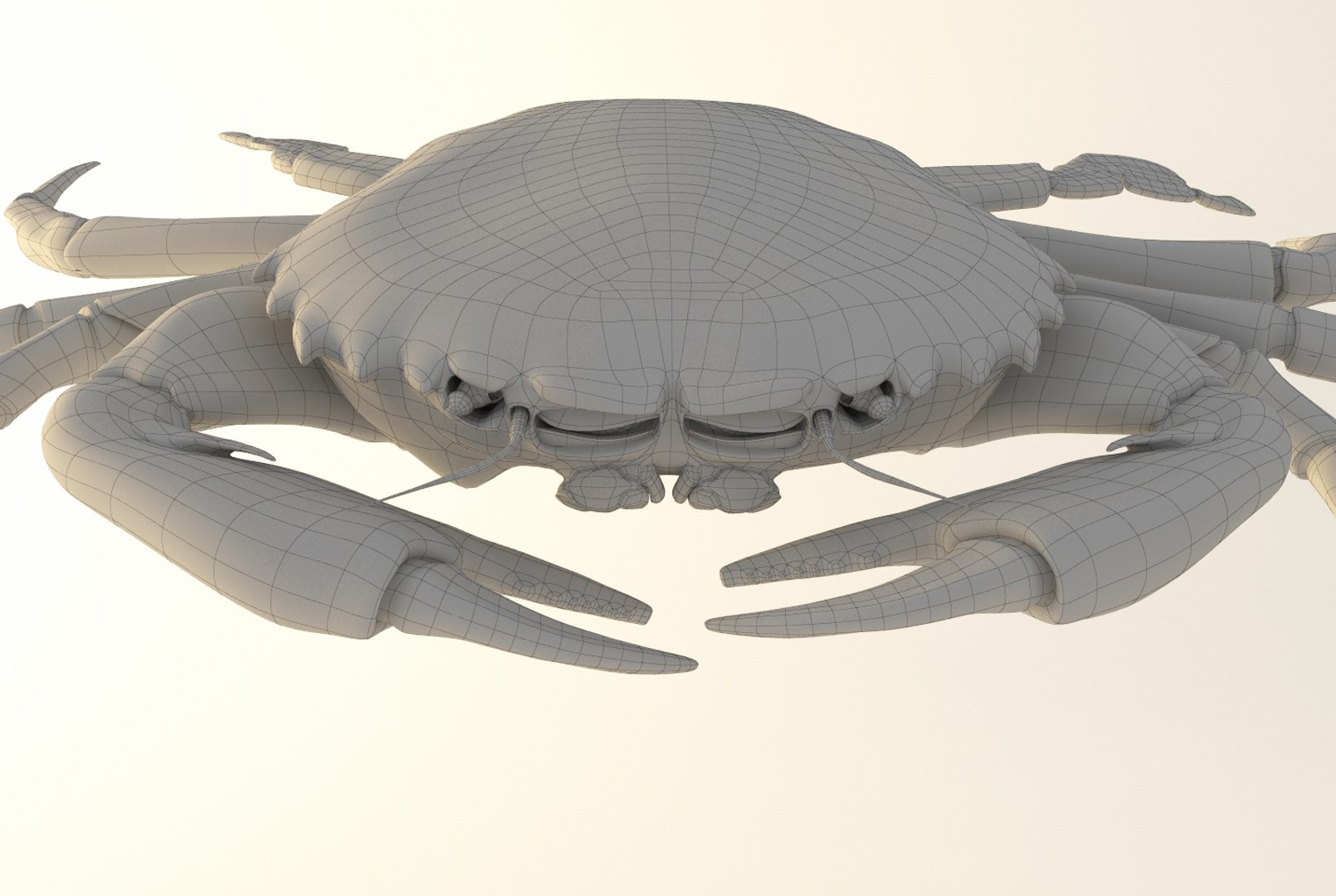 3d Max Crab