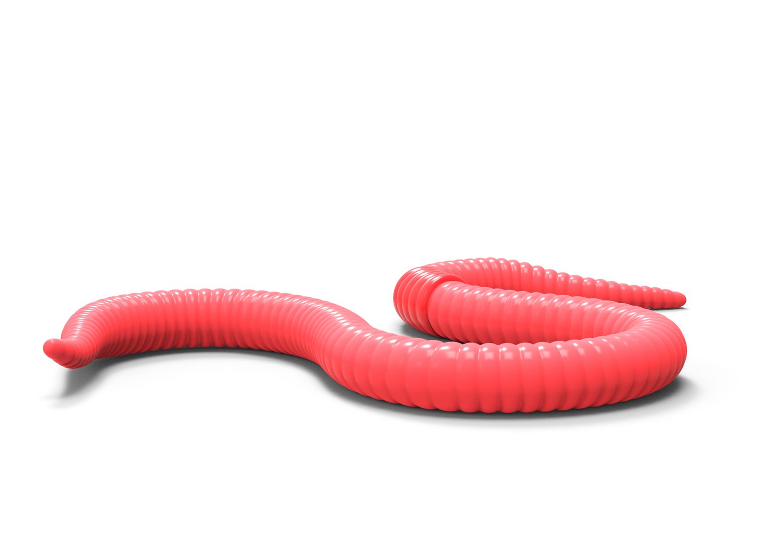 Worm Red Model - TurboSquid 1326152