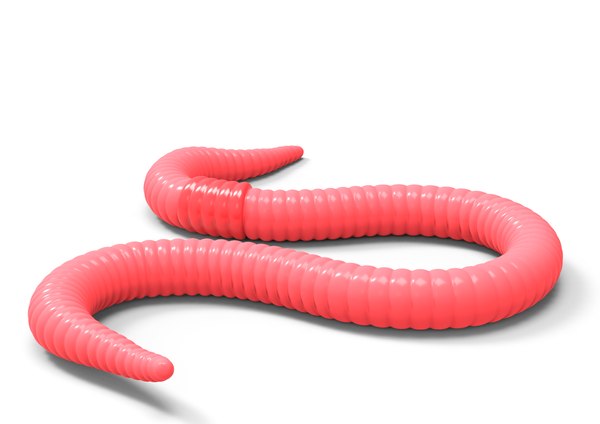 Worm red model - TurboSquid 1326152