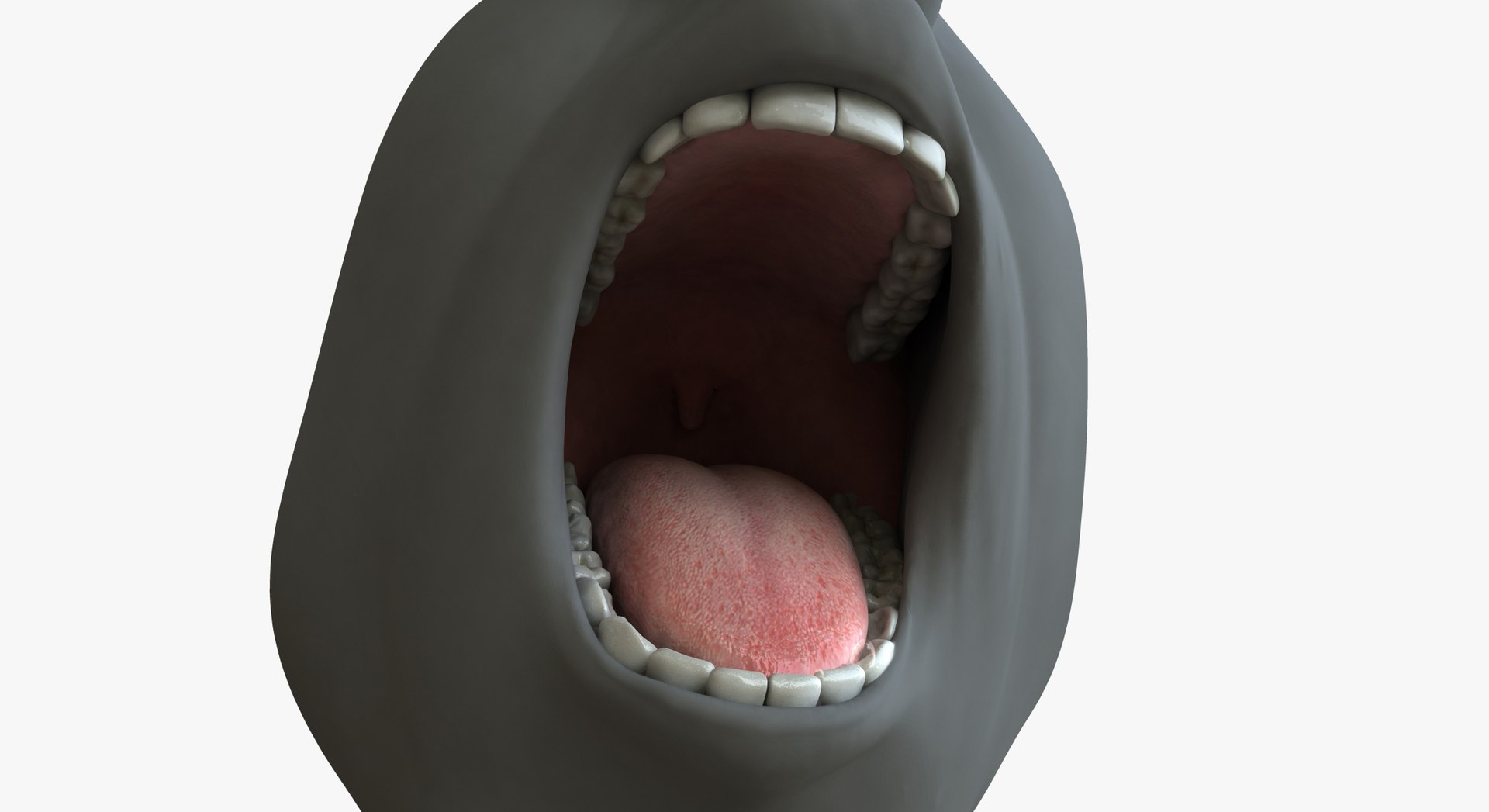 Male Mouth Rig 3d Model
