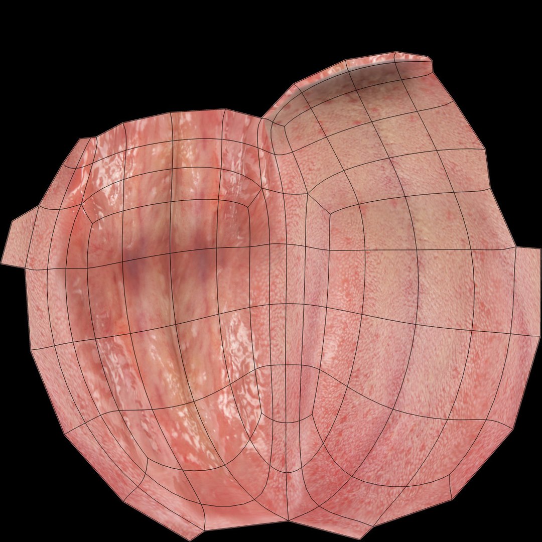 male mouth rig 3d model
