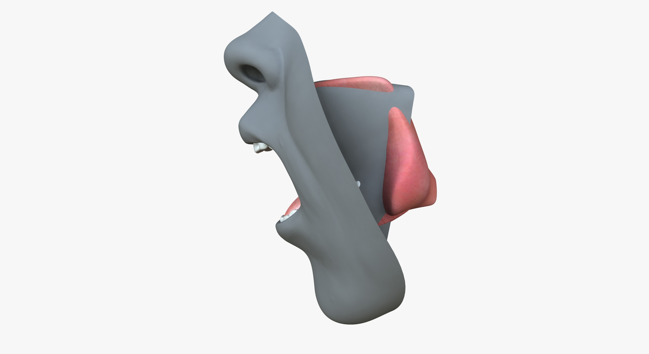 male mouth rig 3d model