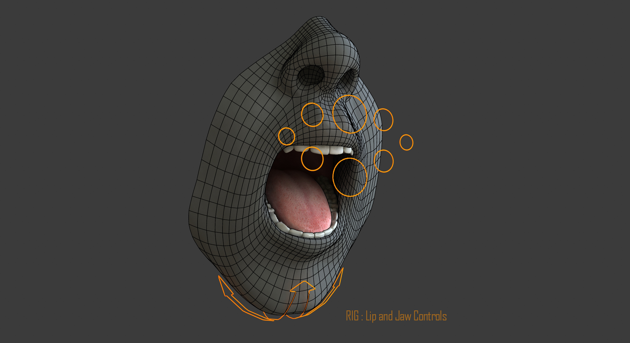 male mouth rig 3d model