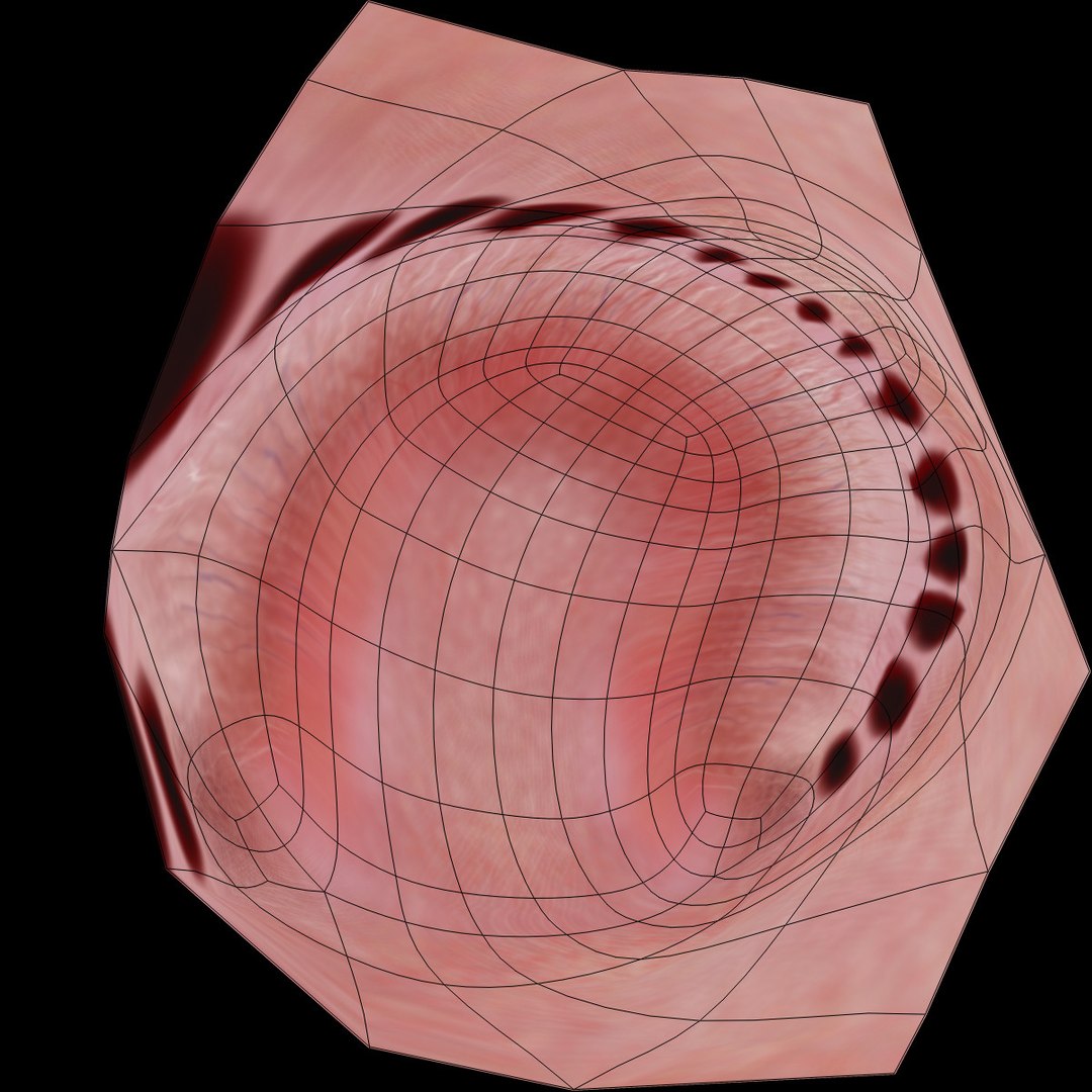 Male Mouth Rig 3d Model