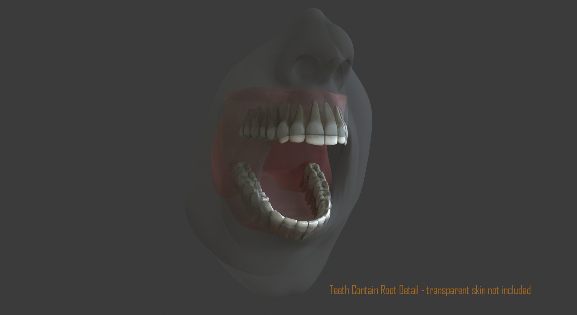 male mouth rig 3d model