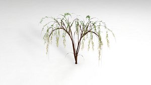 Low Poly Willow Tree 3D Models for Download | TurboSquid