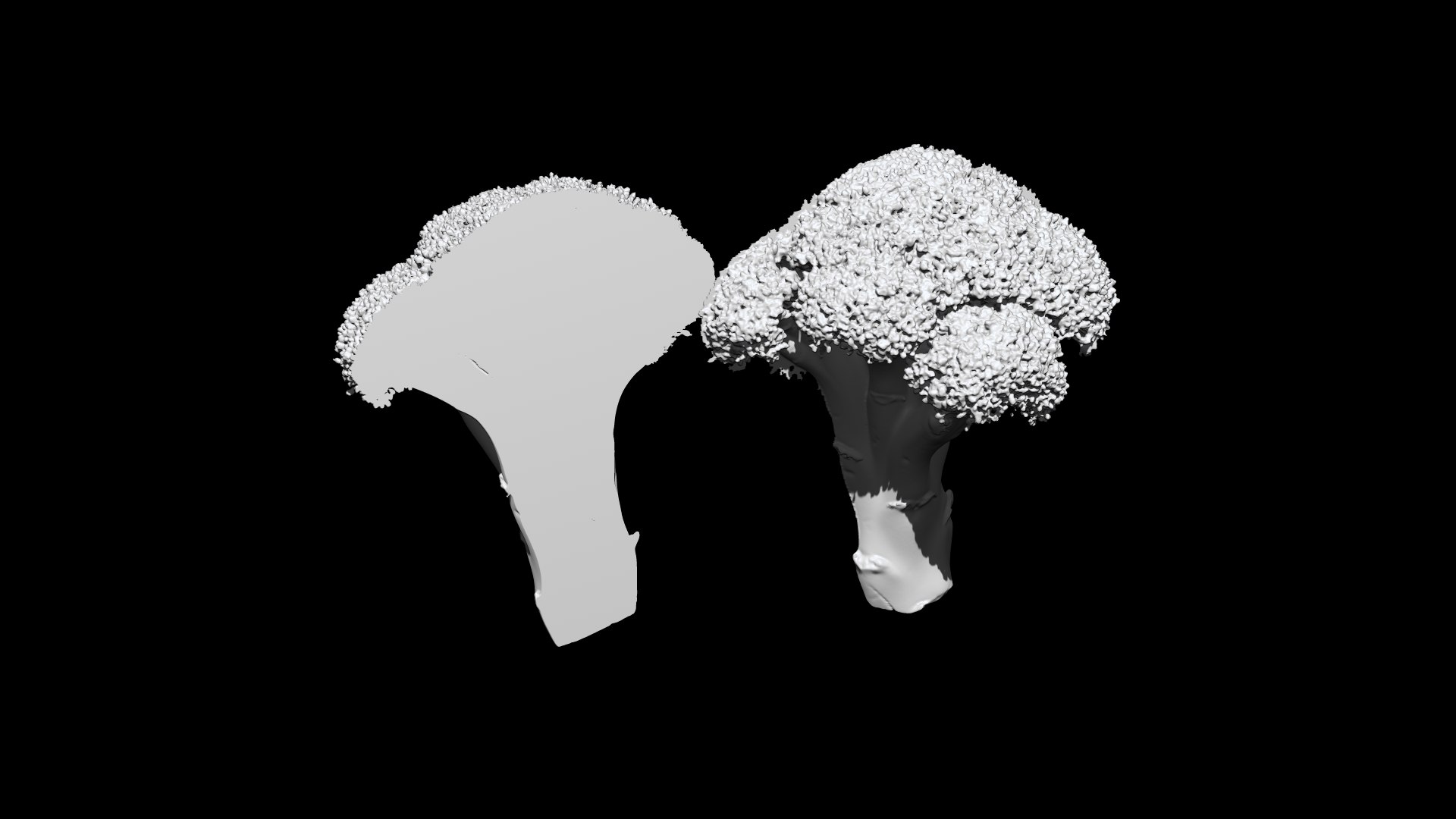 3D Model Broccoli Cut 3D CT Scan Model 3 - TurboSquid 1886433
