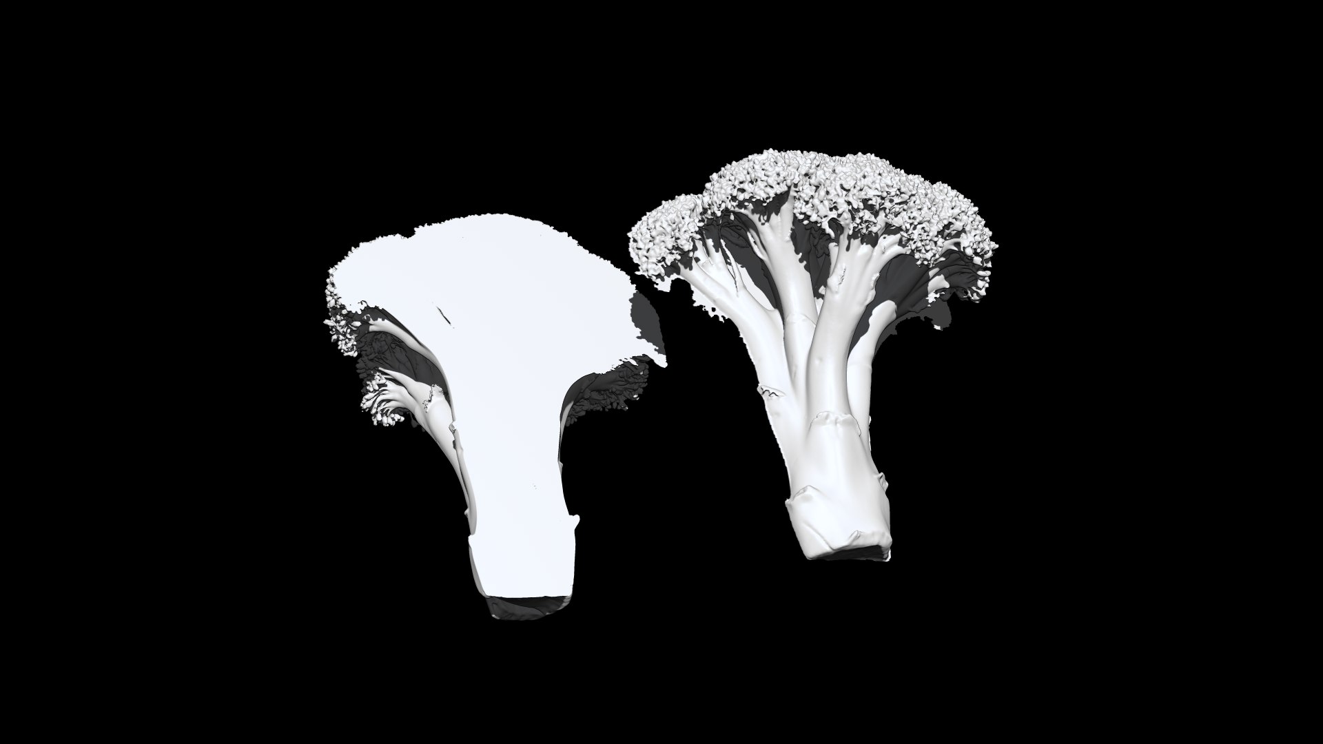3D Model Broccoli Cut 3D CT Scan Model 3 - TurboSquid 1886433