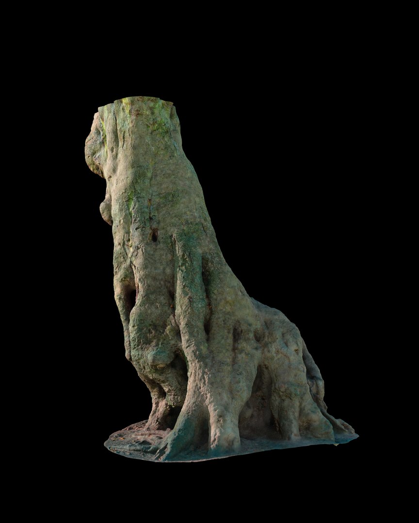 Gnarly Oak 3D Model - TurboSquid 1624356