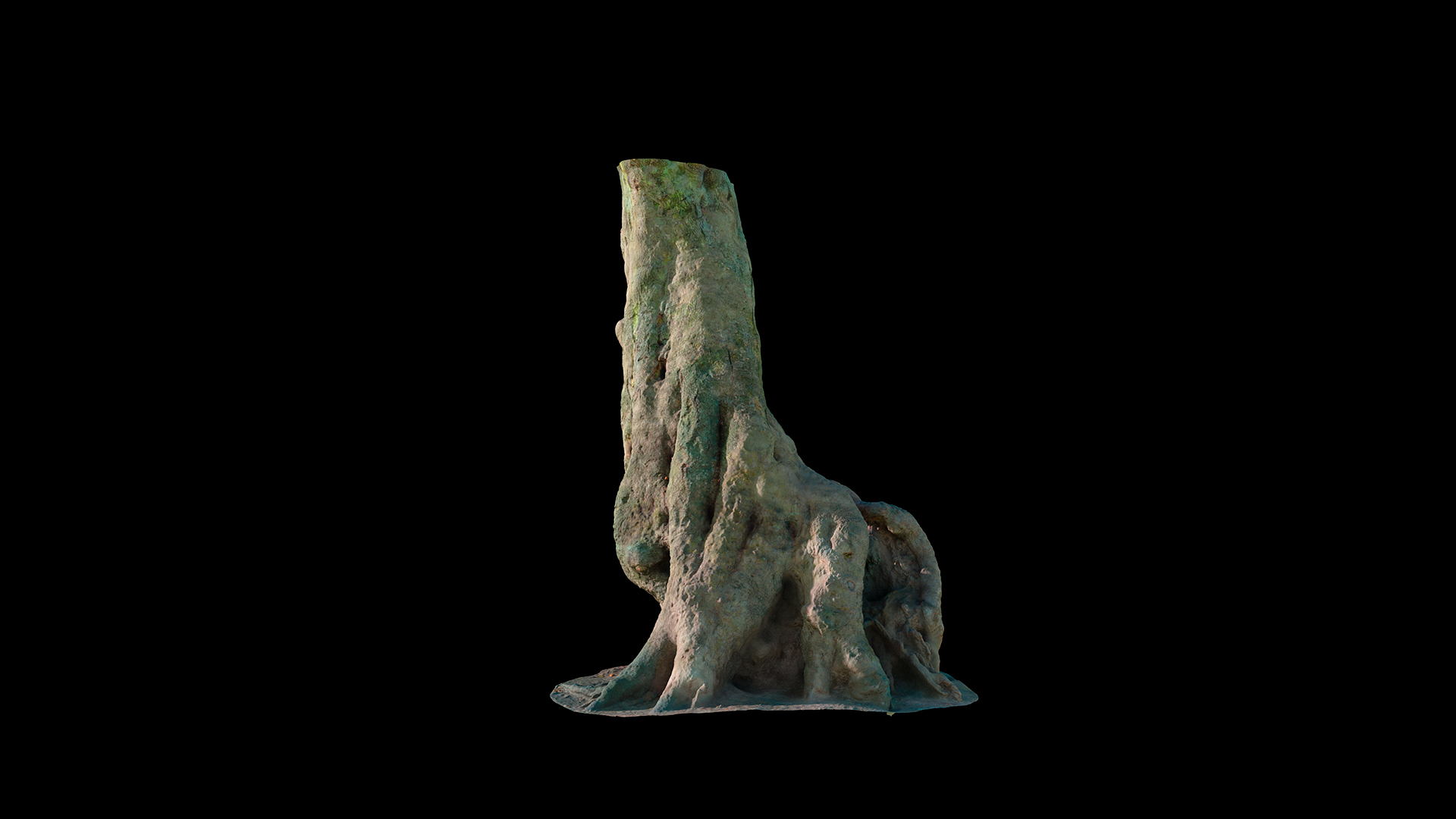 Gnarly Oak 3D Model - TurboSquid 1624356