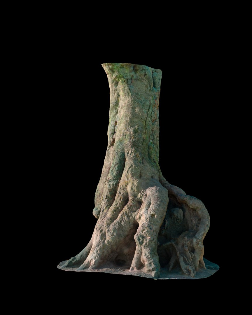 Gnarly Oak 3D Model - TurboSquid 1624356