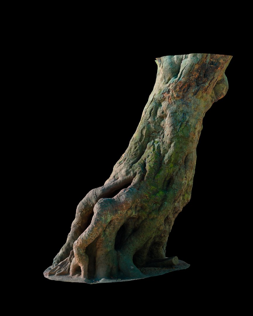 Gnarly Oak 3D Model - TurboSquid 1624356