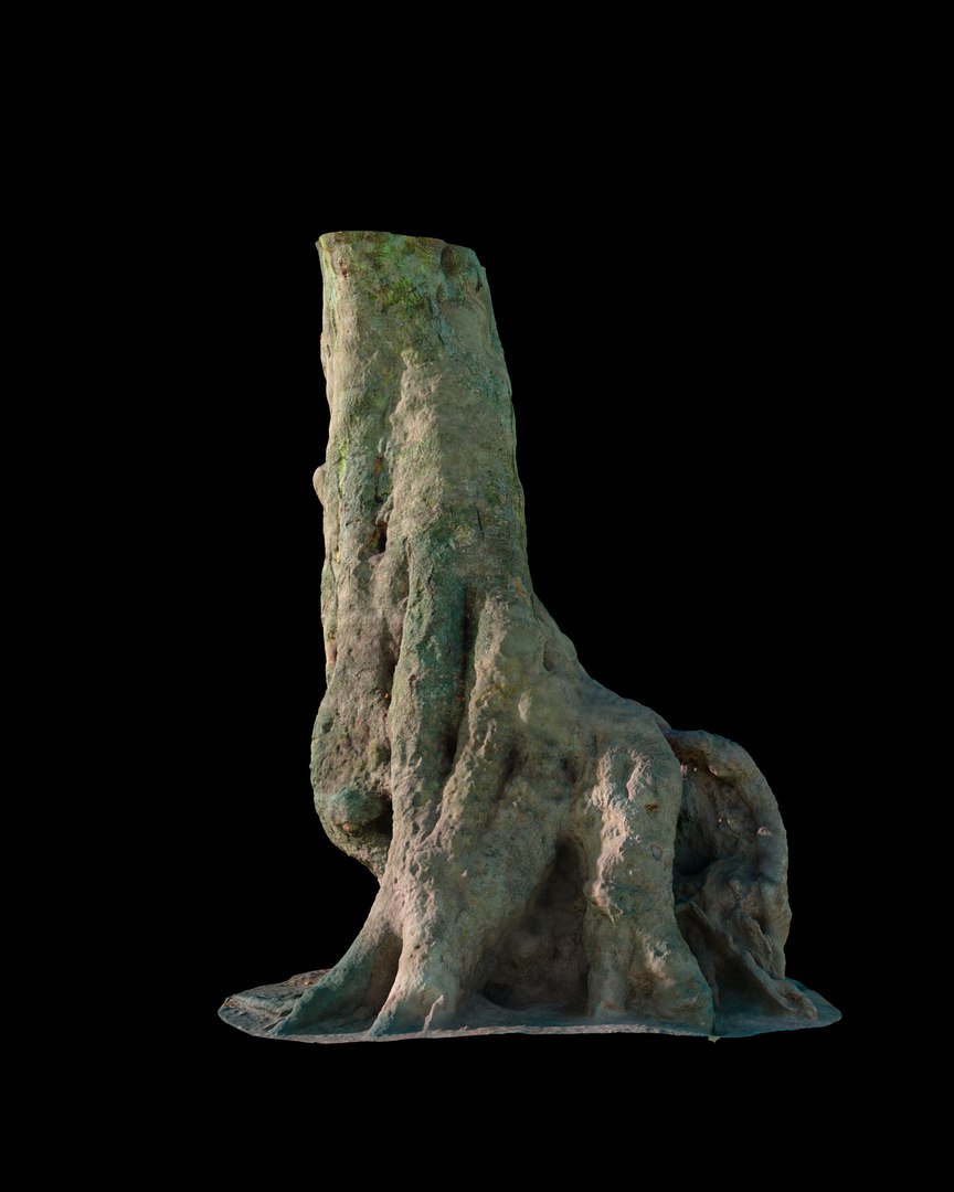 Gnarly Oak 3D Model - TurboSquid 1624356