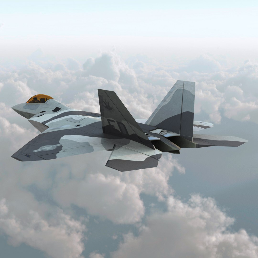 realistic f-22 raptor rigged 3d model