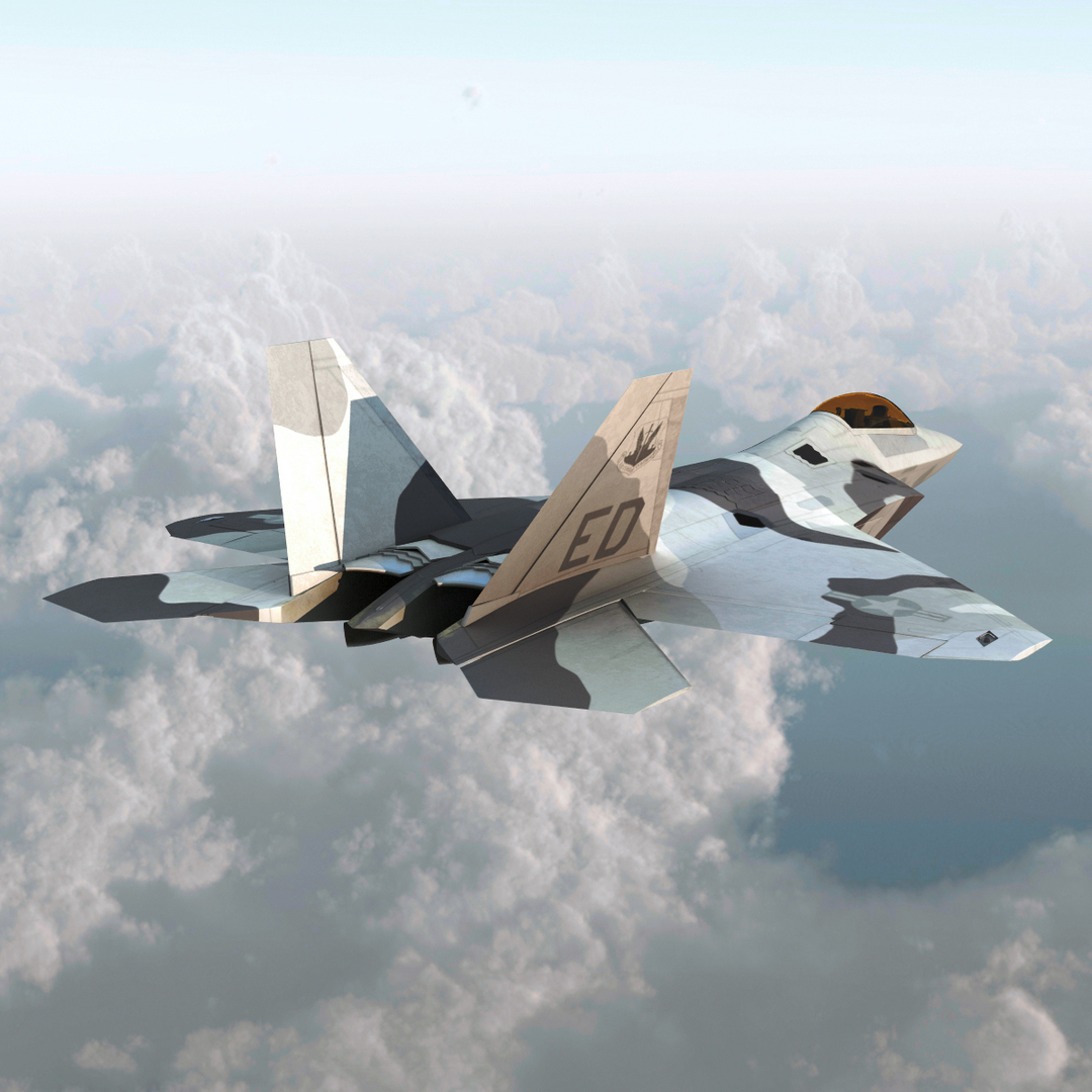 realistic f-22 raptor rigged 3d model