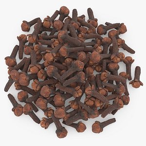 3D Clove Models - Browse & Download Formats - TurboSquid