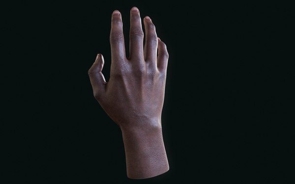 modelo 3d Mano humana realista - TurboSquid 2095170