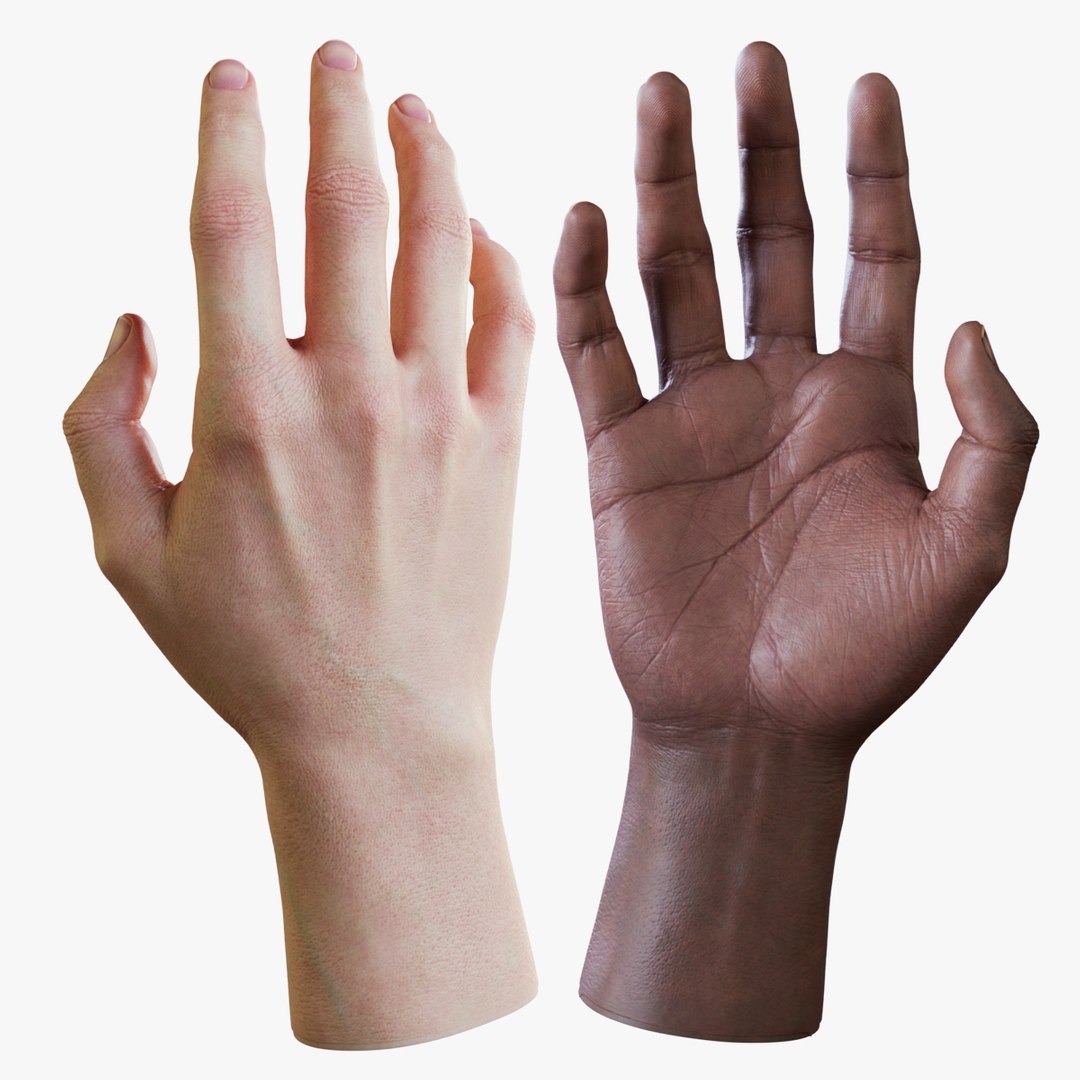 3D Model Realistic Human Hand - TurboSquid 2095170
