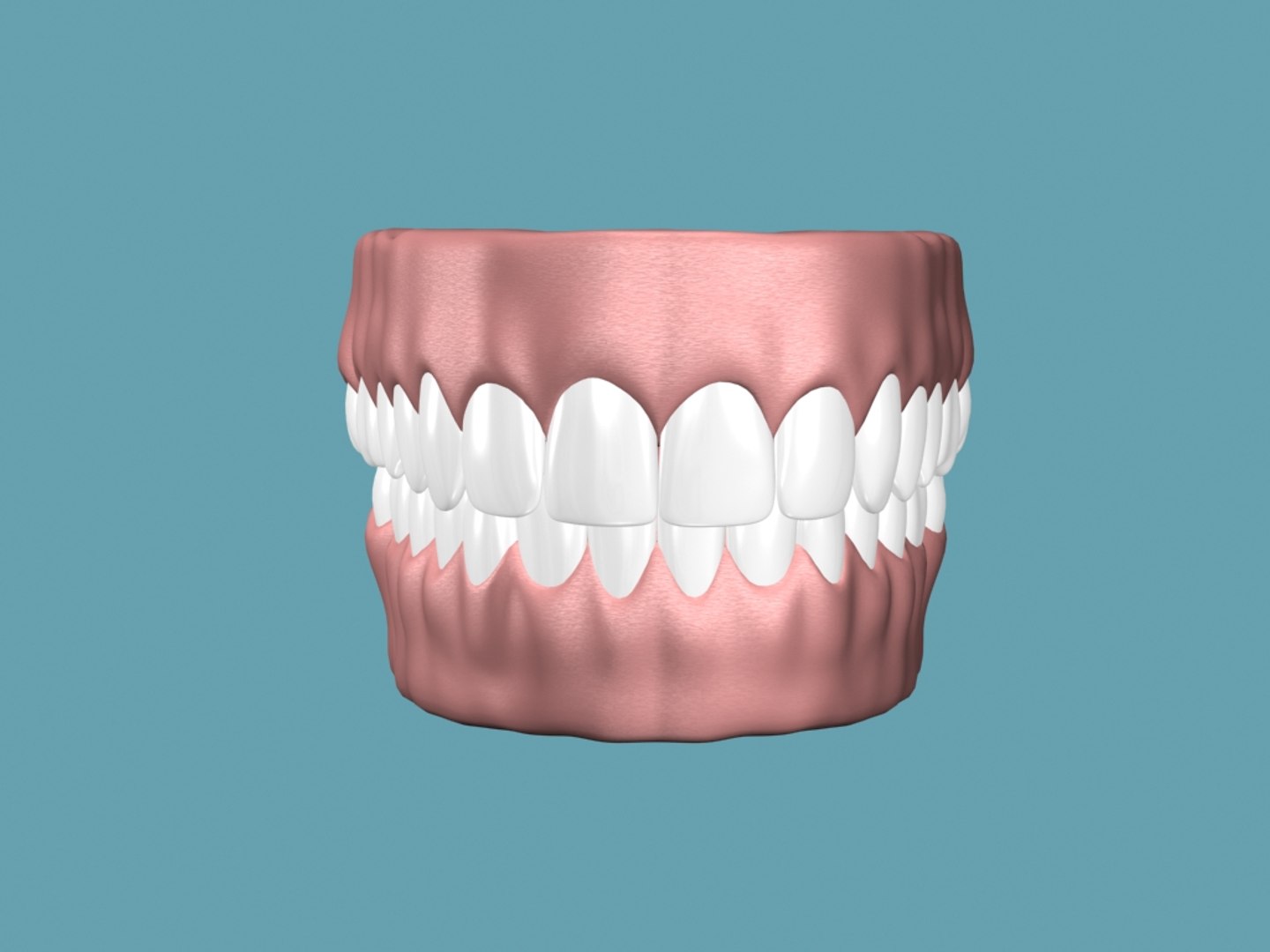 Gums Teeths Tongue 3d Model