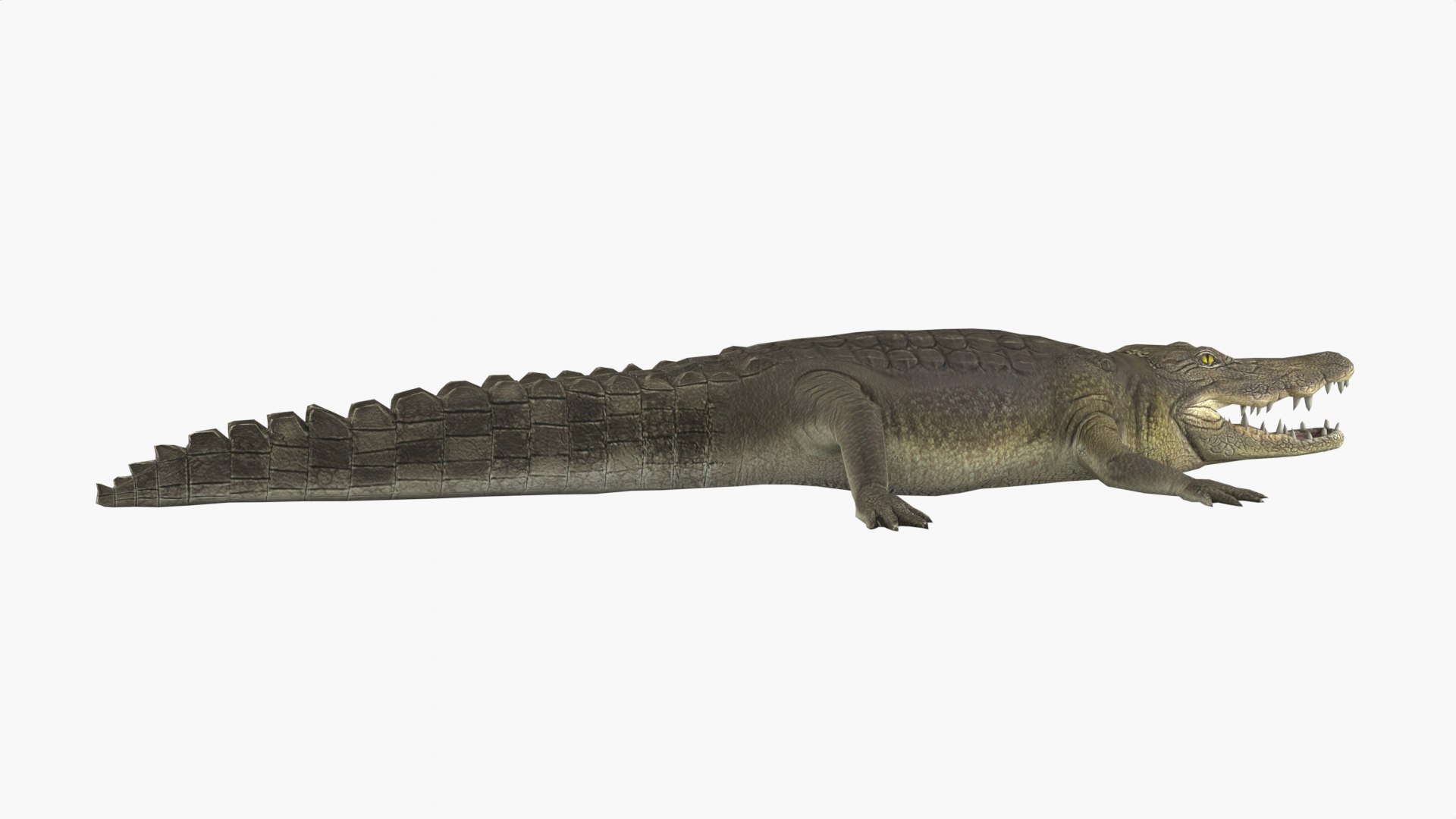 3D Model Crocodile - TurboSquid 2329996
