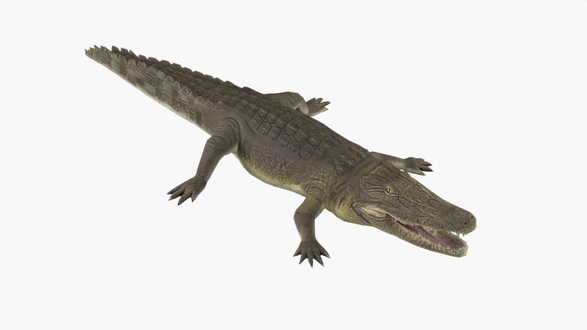 3D Model Crocodile - TurboSquid 2329996