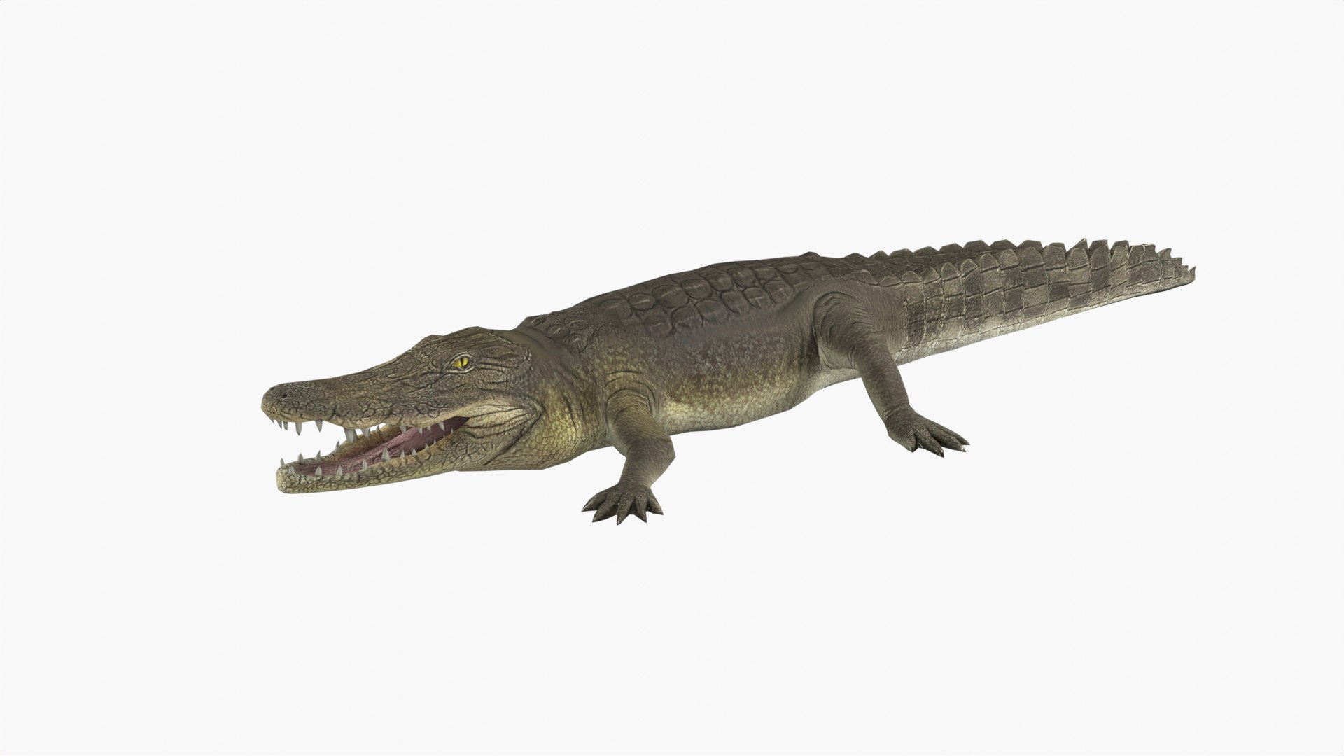 3D Model Crocodile - TurboSquid 2329996