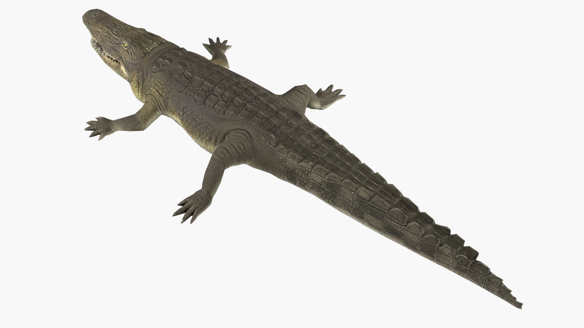 3D Model Crocodile - TurboSquid 2329996