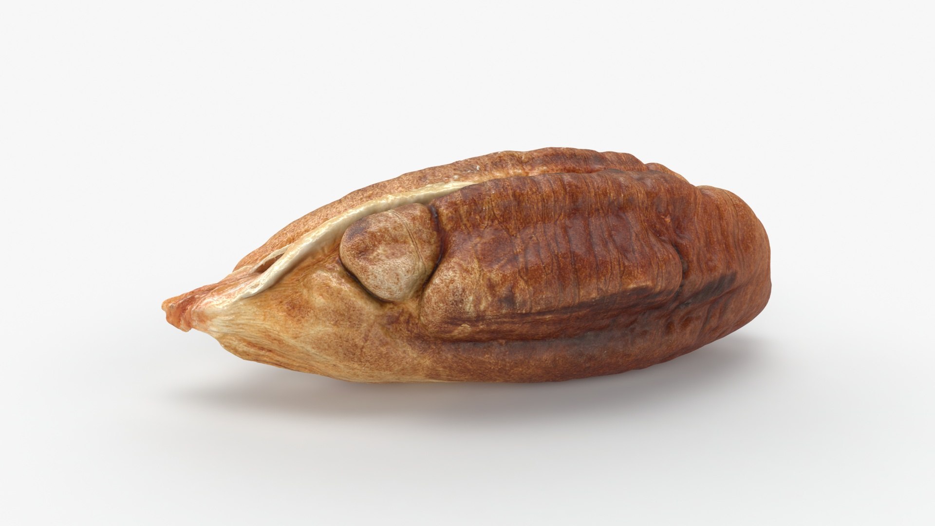 3D Date Seed 02 Model - TurboSquid 2136396