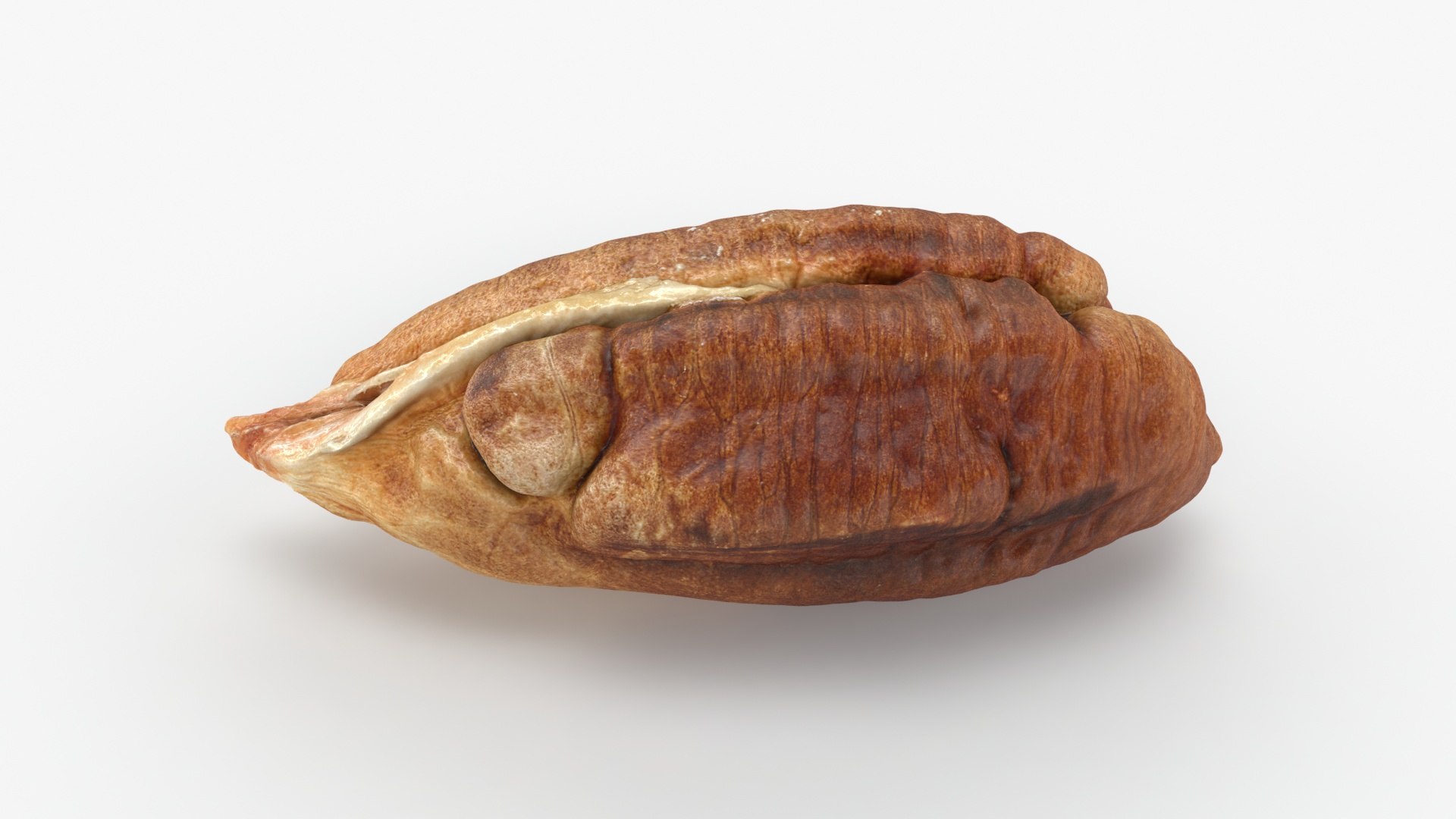 3D Date Seed 02 Model - TurboSquid 2136396