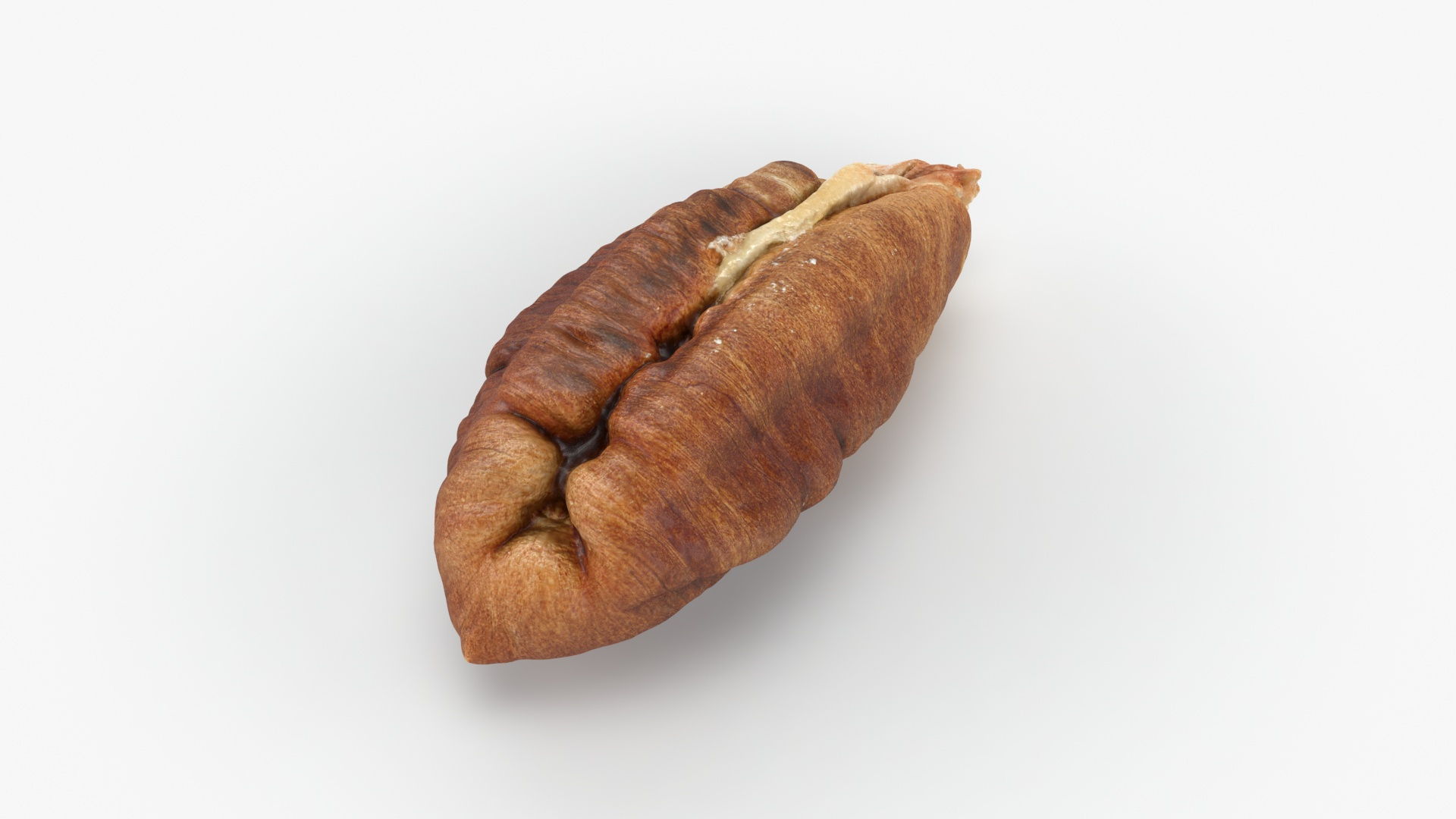 3D Date Seed 02 Model - TurboSquid 2136396
