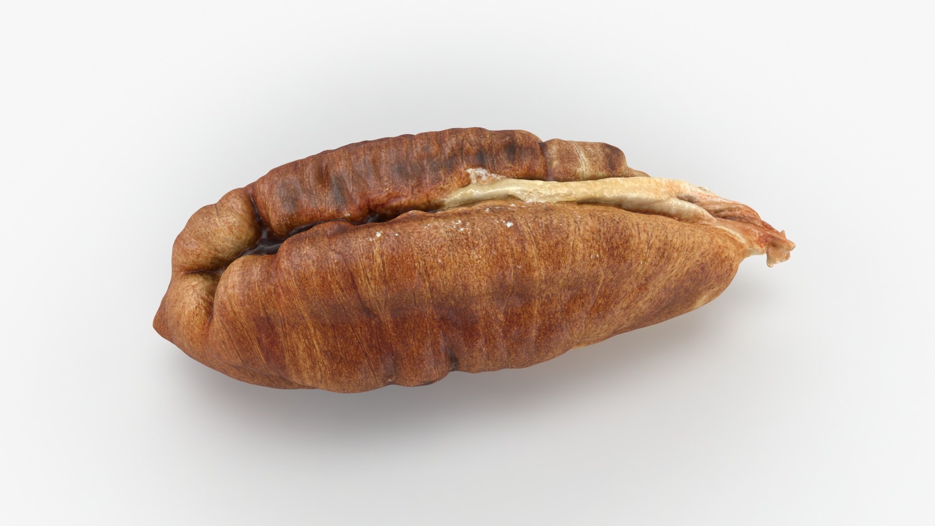 3D Date Seed 02 model - TurboSquid 2136396