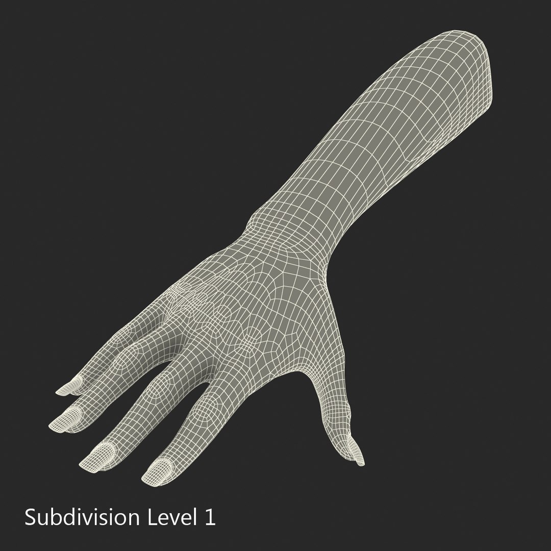 3D hands rigged - TurboSquid 1196053