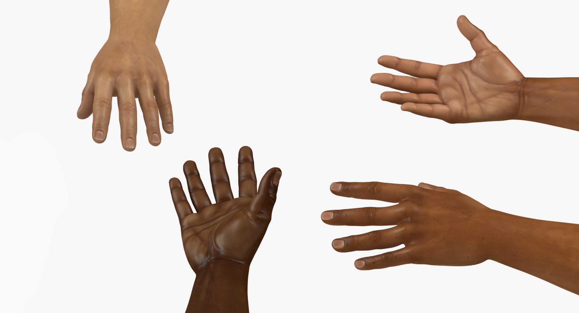 3D hands rigged - TurboSquid 1196053