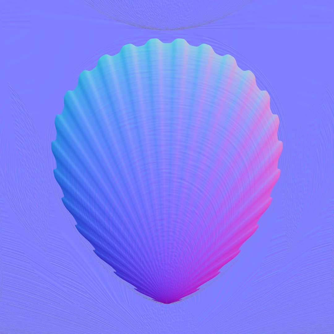 3d Scallop Shell