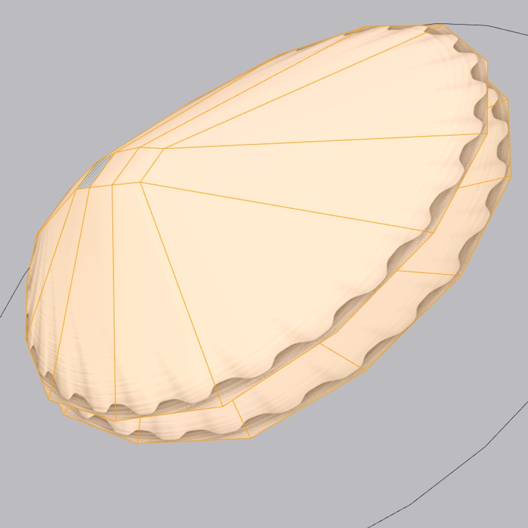 3d Scallop Shell