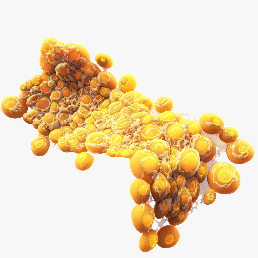 3D Fat Cell Anatomy - TurboSquid 2201018