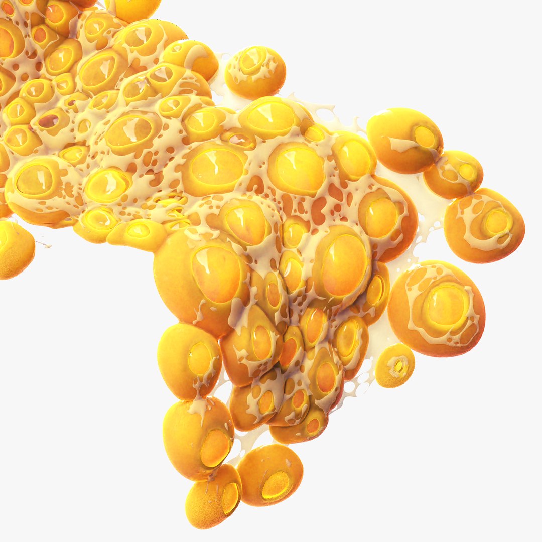 3D Fat Cell Anatomy - TurboSquid 2201018