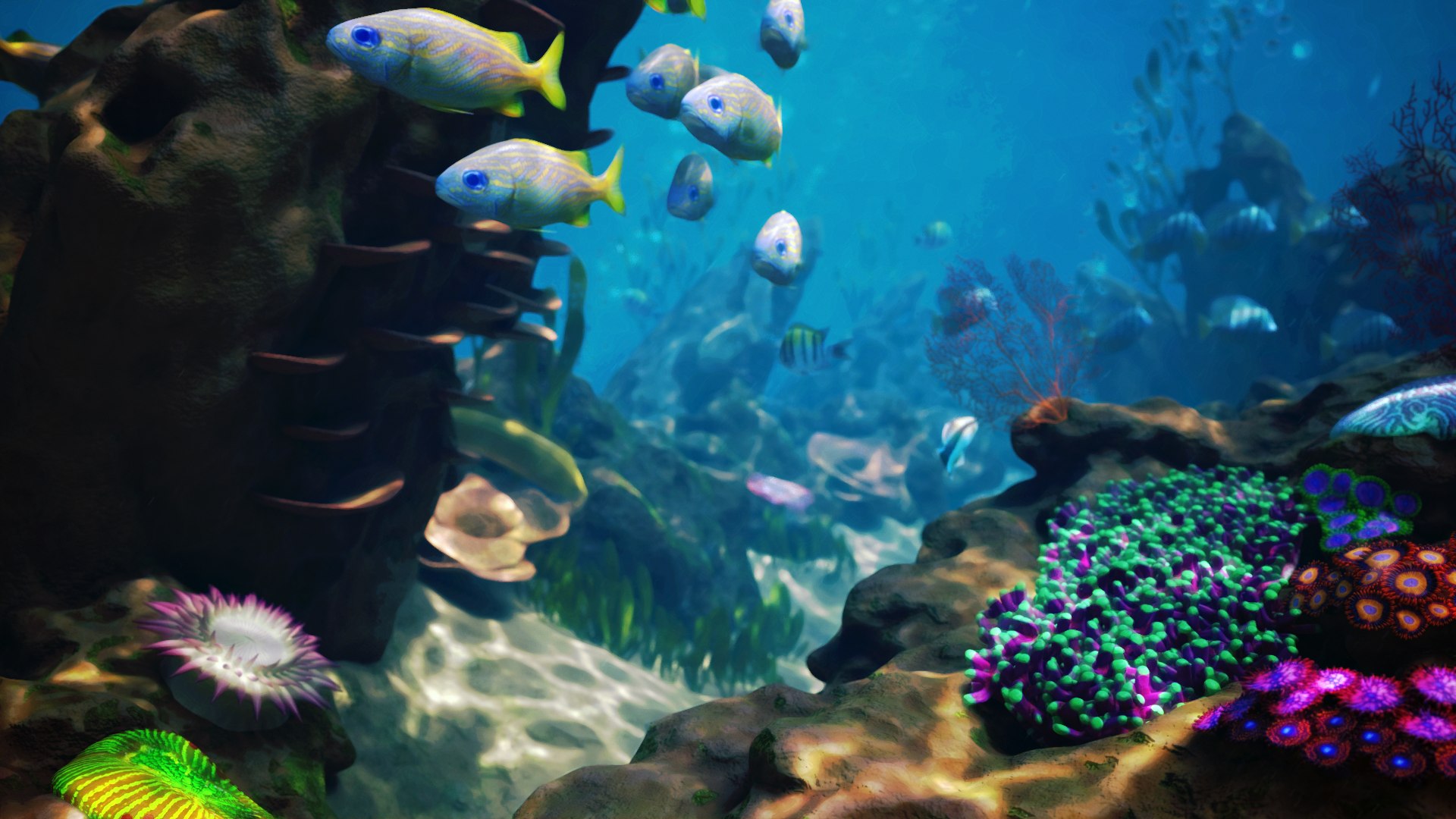 Reef Pbr 3D Model - TurboSquid 1550368